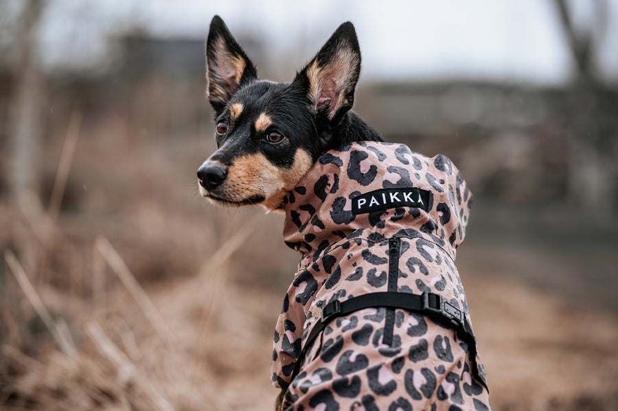 Koerte riided | Talvejoped, vihmajoped ja kombinesoonid | Pooko.ee – POOKO