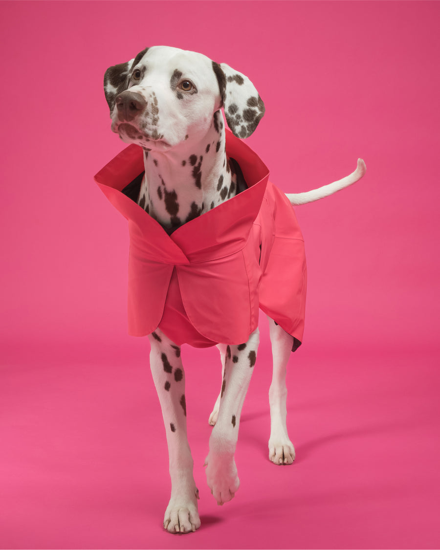 Koerte riided | Talvejoped, vihmajoped ja kombinesoonid | Pooko.ee – POOKO