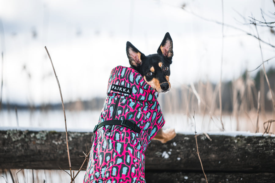 Koerte riided | Talvejoped, vihmajoped ja kombinesoonid | Pooko.ee – POOKO