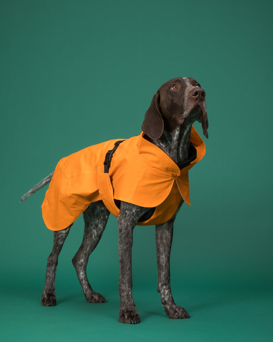 Koerte riided | Talvejoped, vihmajoped ja kombinesoonid | Pooko.ee – POOKO