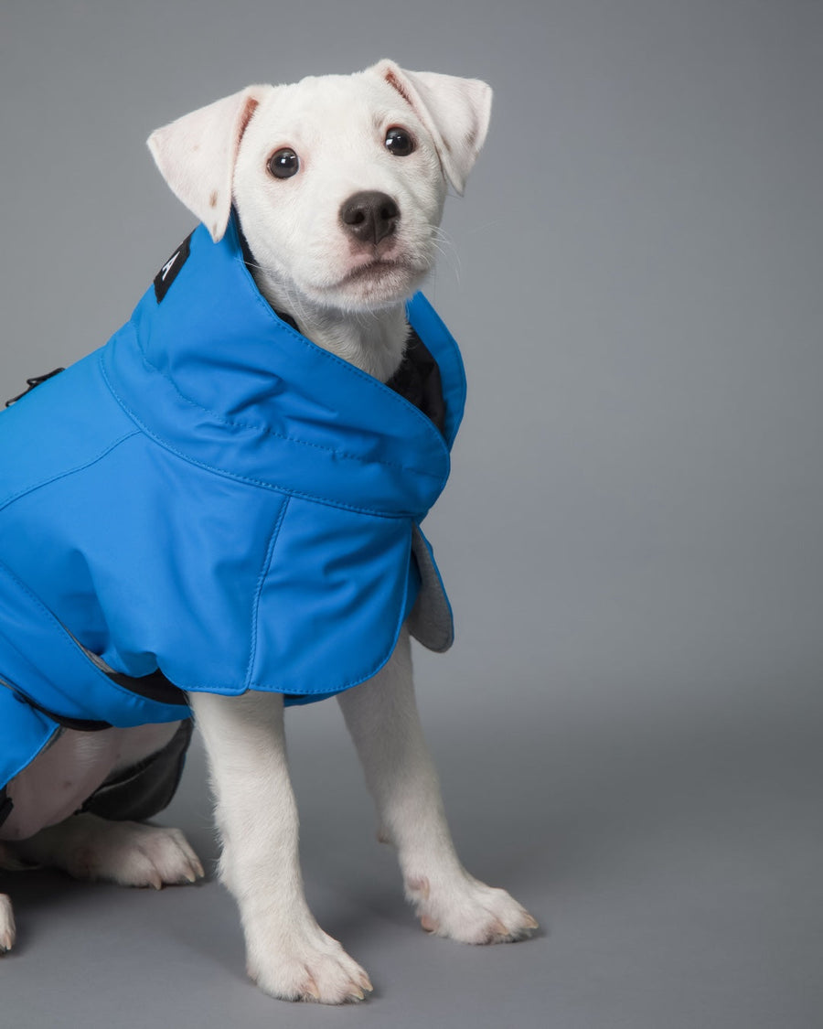 Koerte riided | Talvejoped, vihmajoped ja kombinesoonid | Pooko.ee – POOKO