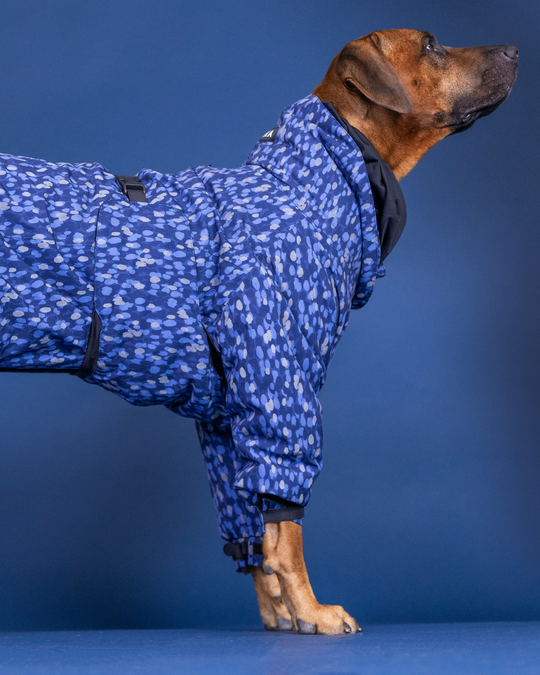 Koerte riided | Talvejoped, vihmajoped ja kombinesoonid | Pooko.ee – POOKO