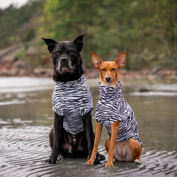 Koerte riided | Talvejoped, vihmajoped ja kombinesoonid | Pooko.ee – POOKO